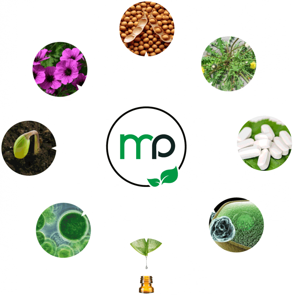 Idée business & innovation : 4 millions pour donner du peps à MicroPep